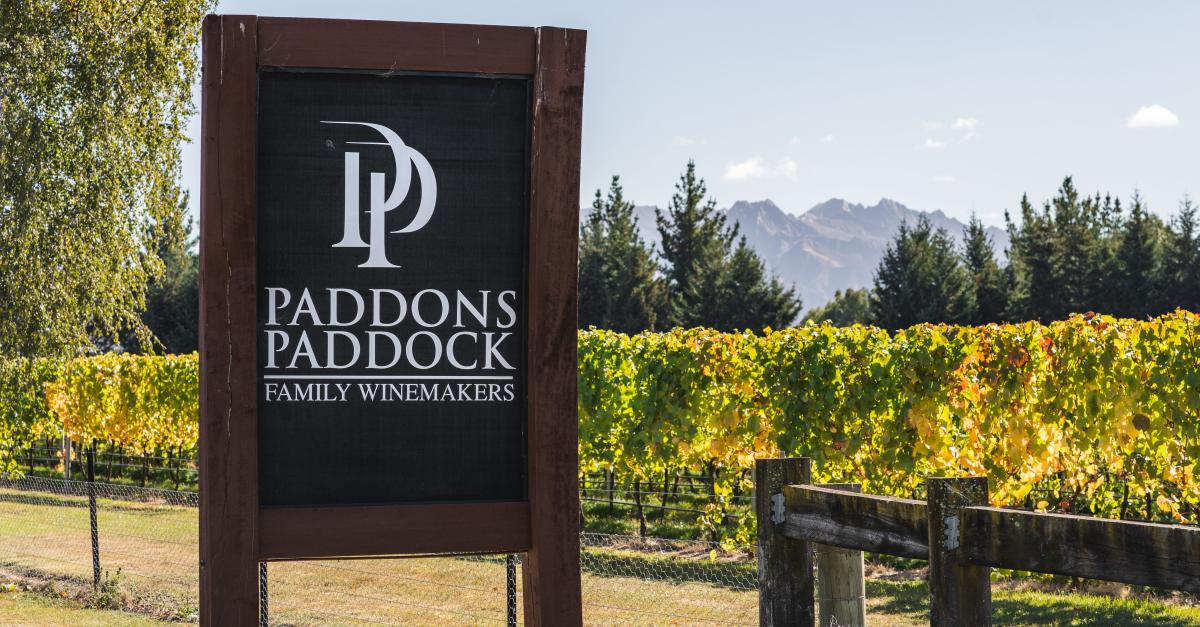 Paddons Paddock Family Winemakers | Explore | Wanaka Official Website