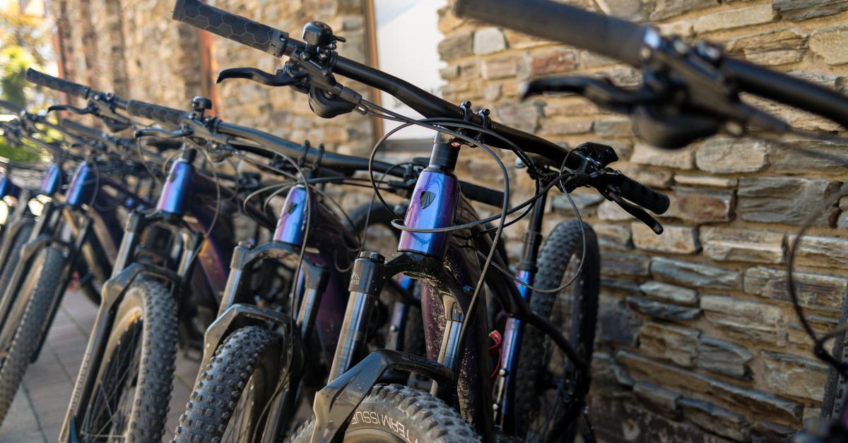 Racers Edge Bike Rentals & Workshop | Explore | Wanaka Official Website