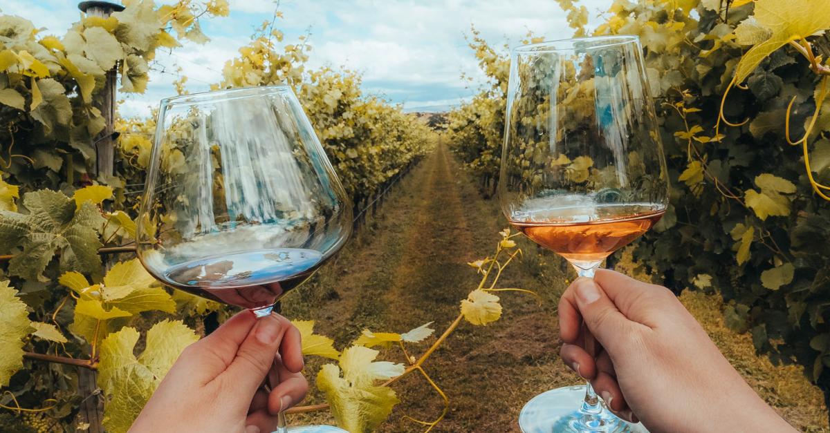 Wanaka Wine Tours | Explore | Wanaka Official Website