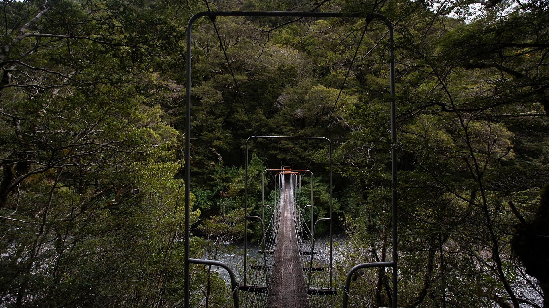 Bridle Track | Explore | Wanaka Official Website