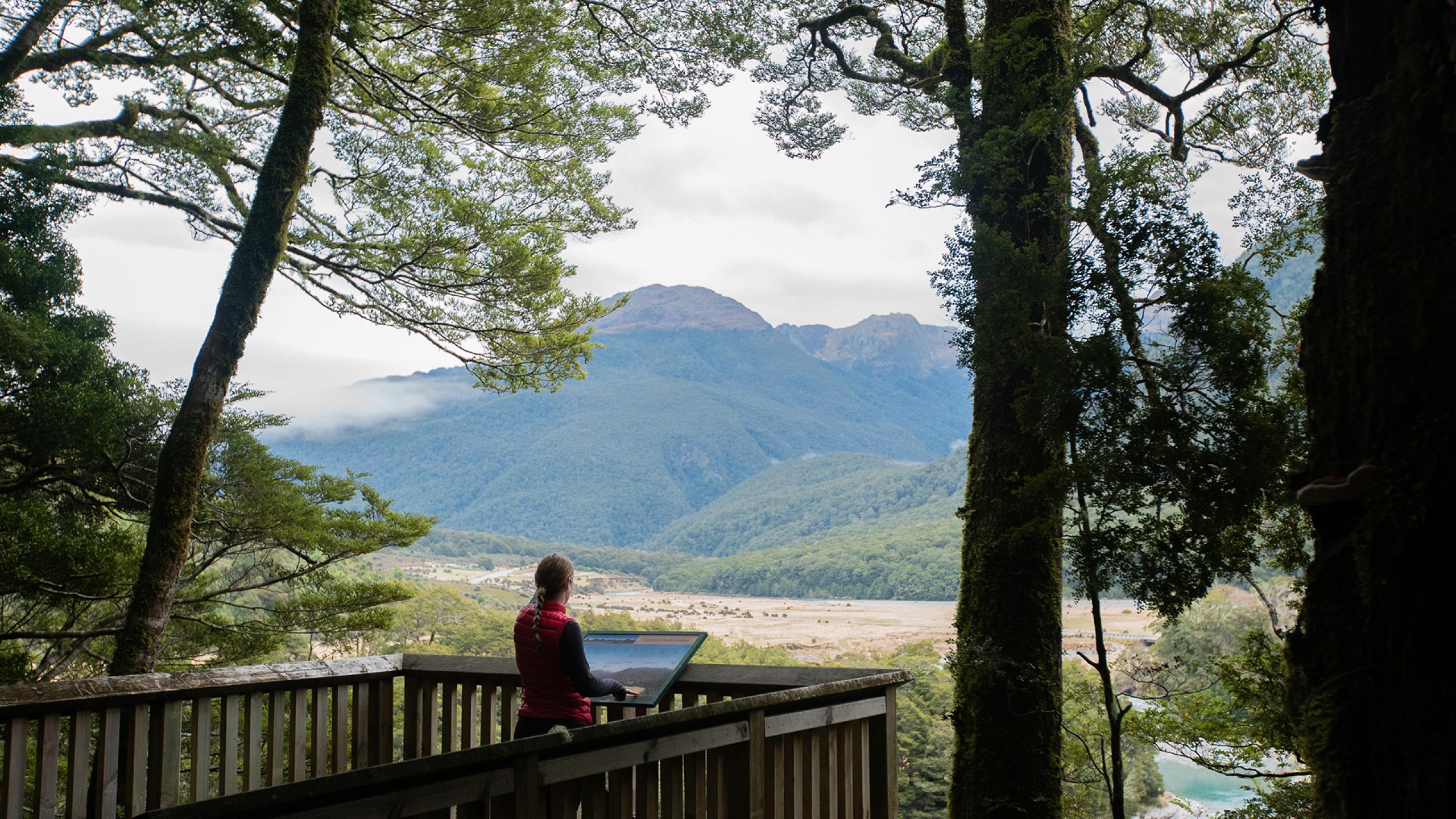 Cameron Lookout Walk | Explore | Wanaka Official Website