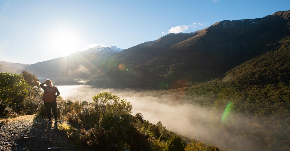 Haast Pass Lookout Track | Explore | Wanaka Official Website
