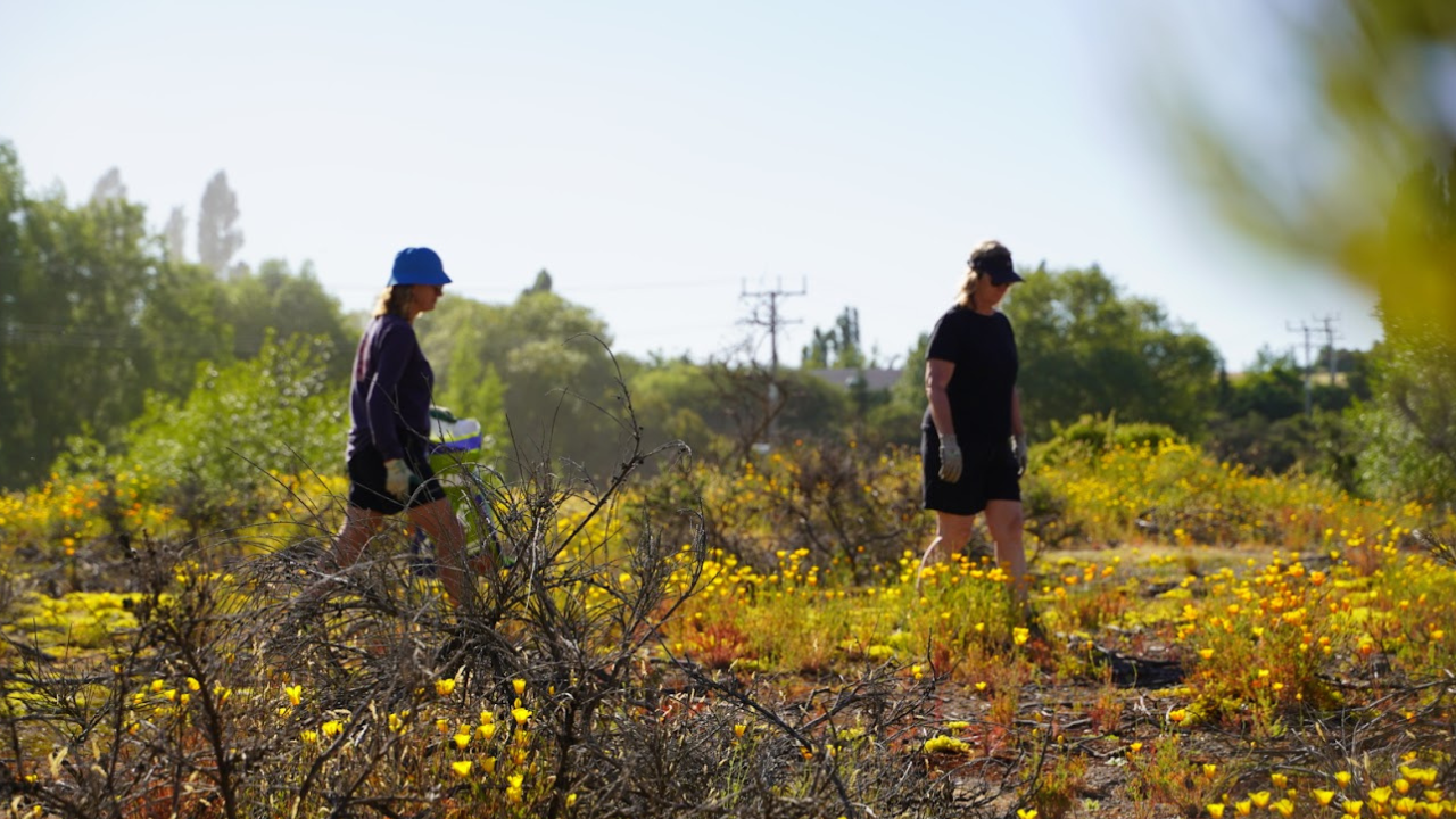 WAI Wānaka Beach Clean-up: Cardrona River | Explore | Wanaka Official ...