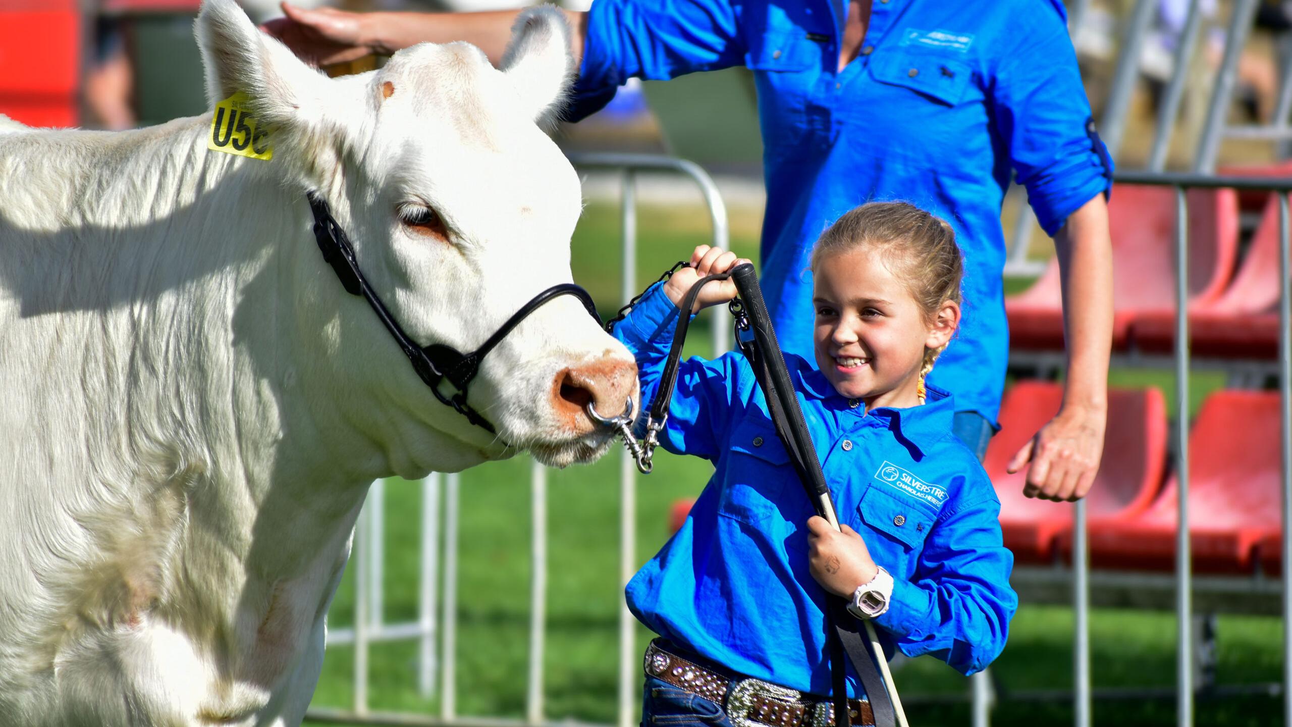Wānaka A&P Show | Explore | Wanaka Official Website