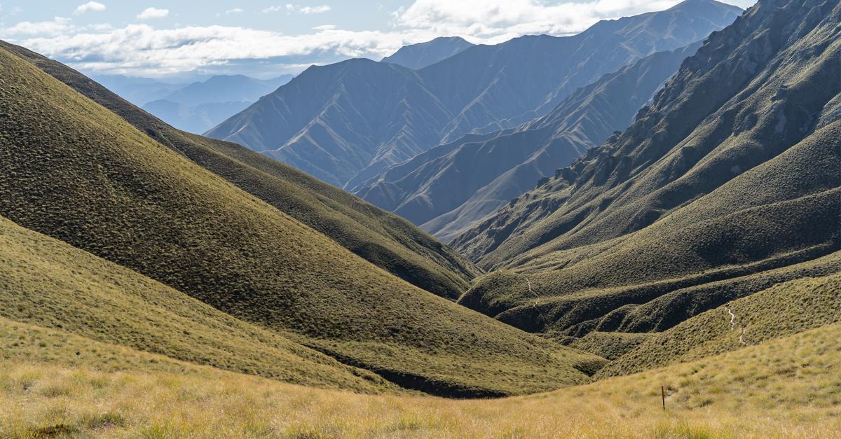 Motatapu Track | Explore | Wanaka Official Website