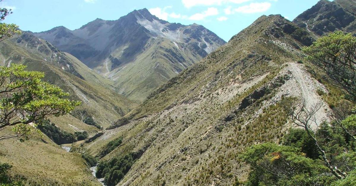 Timaru River Loop Track | Explore | Wanaka Official Website